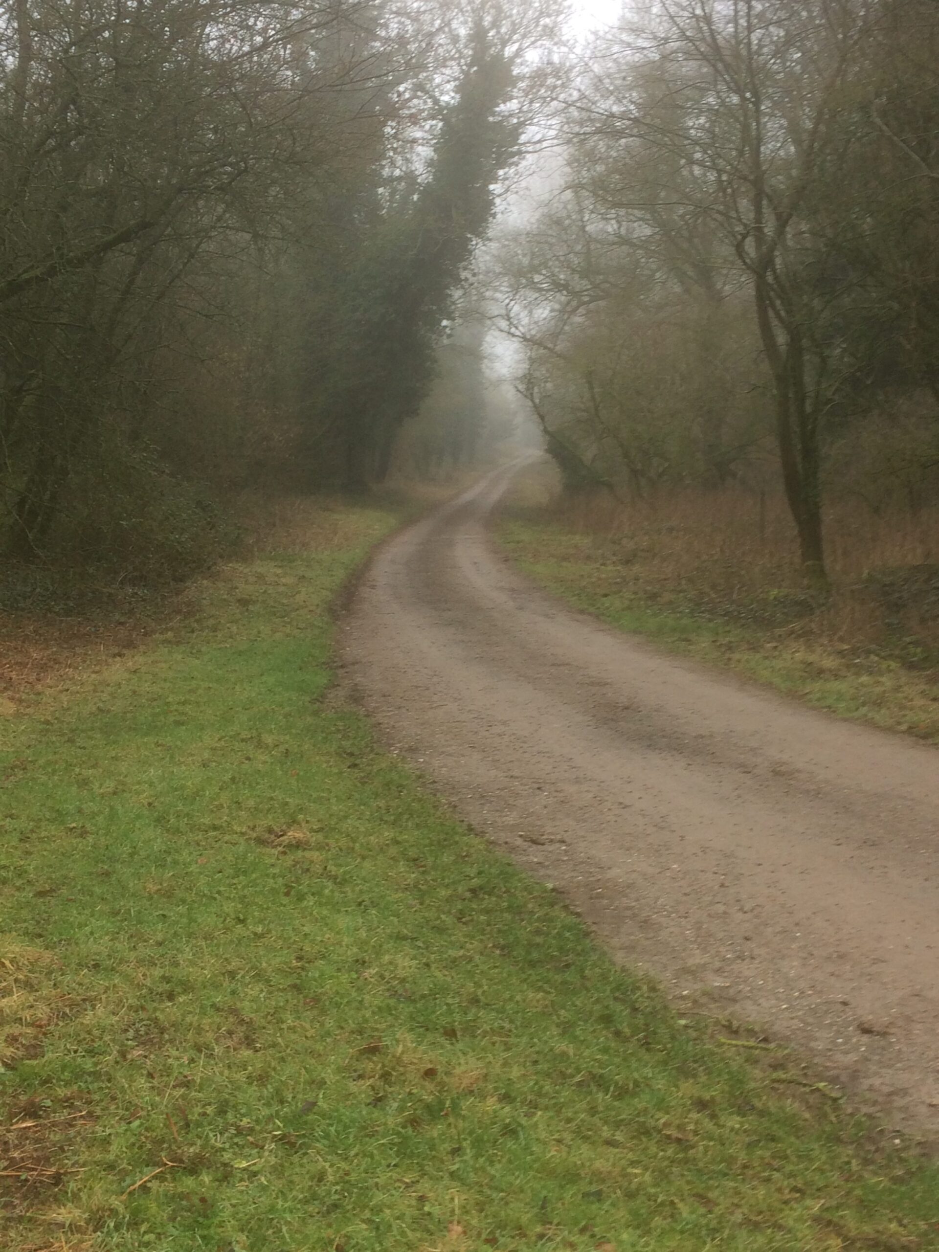 Whiteways and Houghton Forest, Arundel - Gay Outdoor Club