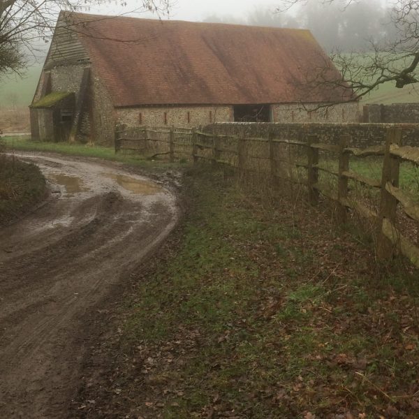 Whiteways and Houghton Forest, Arundel - Gay Outdoor Club