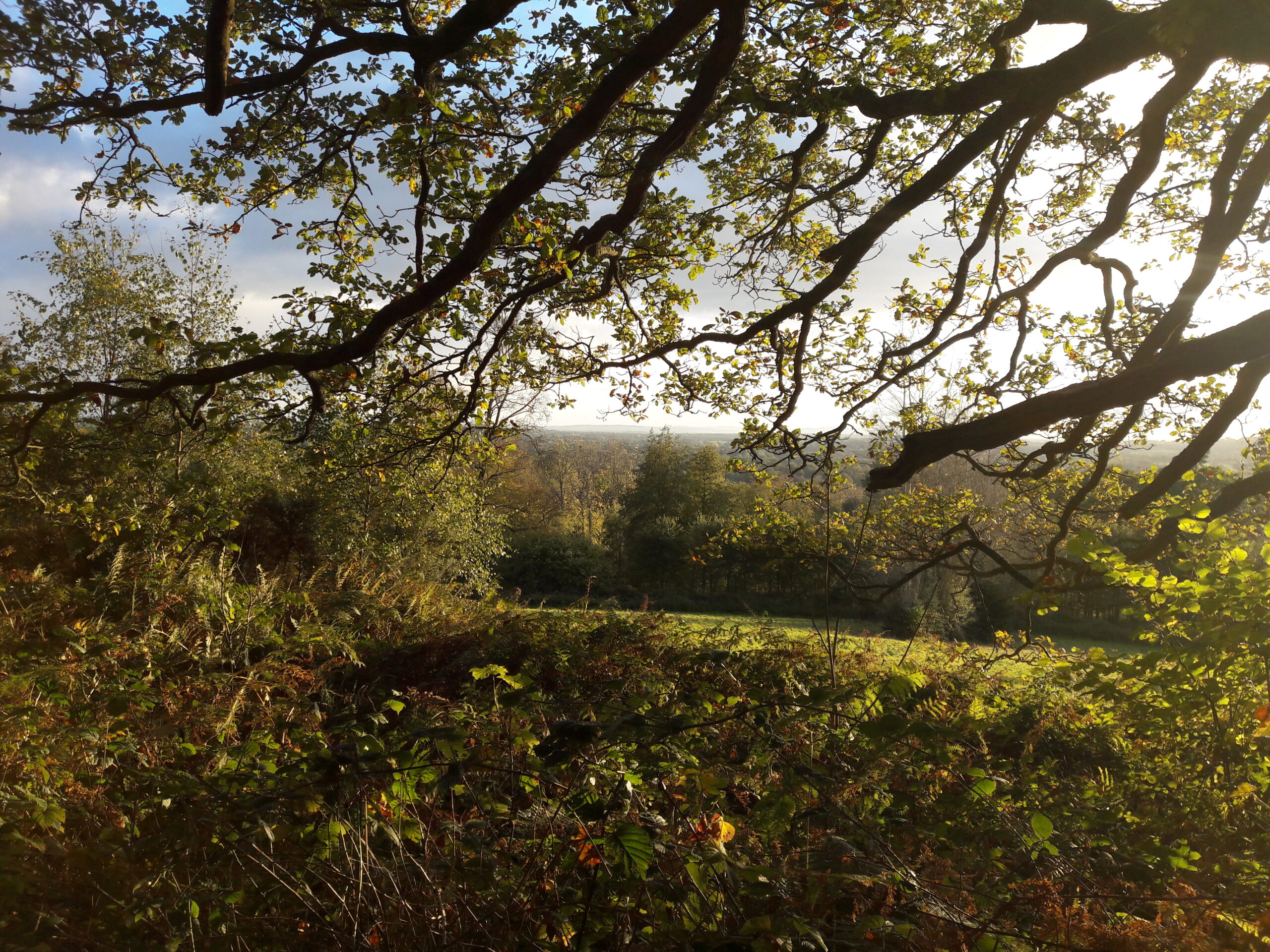Peaslake and the Surrey Hills - Gay Outdoor Club