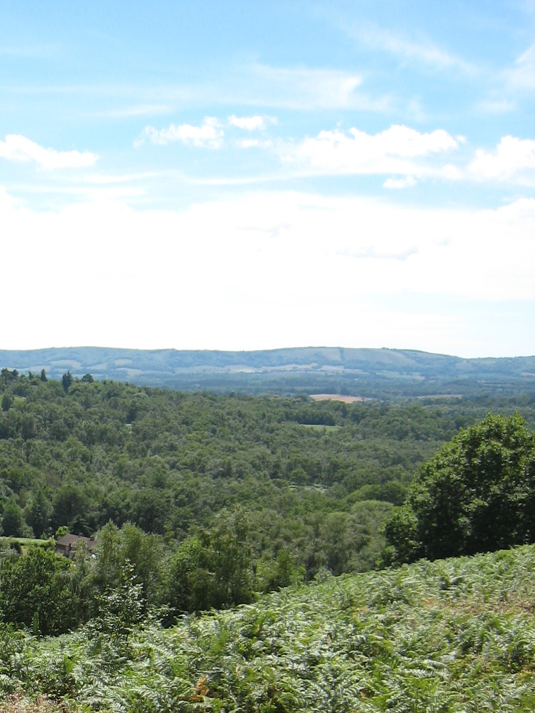 A circular walk around Fernhurst - Gay Outdoor Club