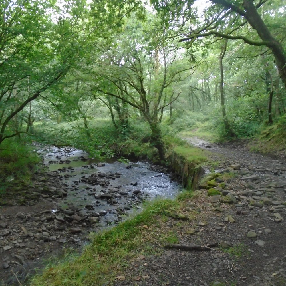 Cwm Clydach, near Swansea - Gay Outdoor Club