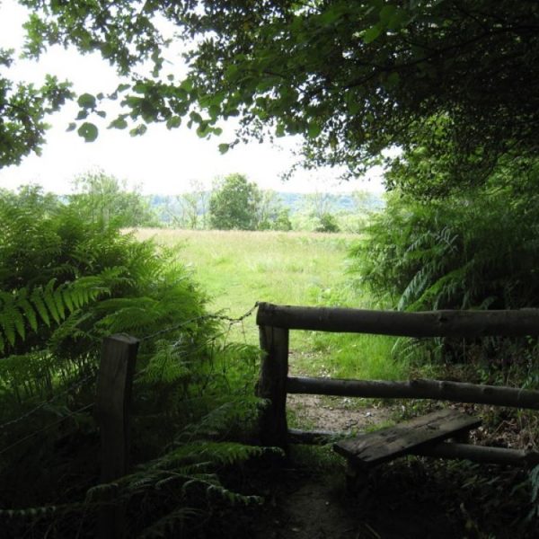 A circular walk around Fernhurst - Gay Outdoor Club