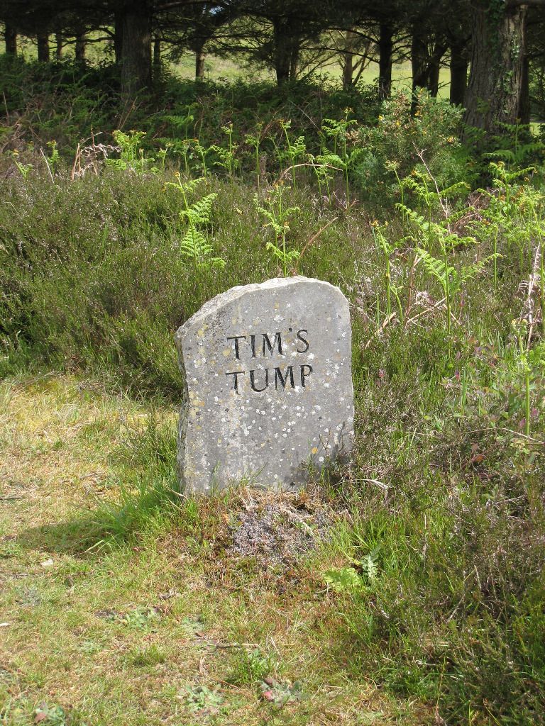Hartland Moor, Poole Harbour Trail and Rempstone Heath - IOP Weekend ...