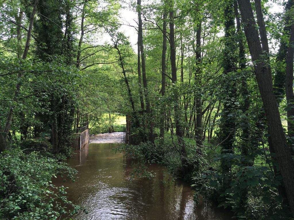 Bridgnorth and the River Worfe - Gay Outdoor Club