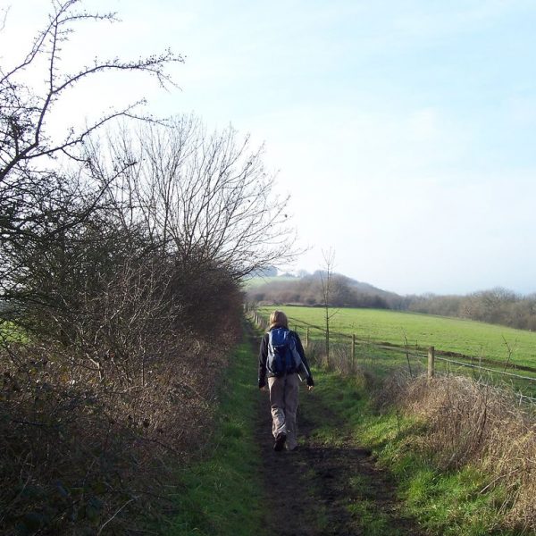 Storrington Walk And Summer Picnic - Gay Outdoor Club