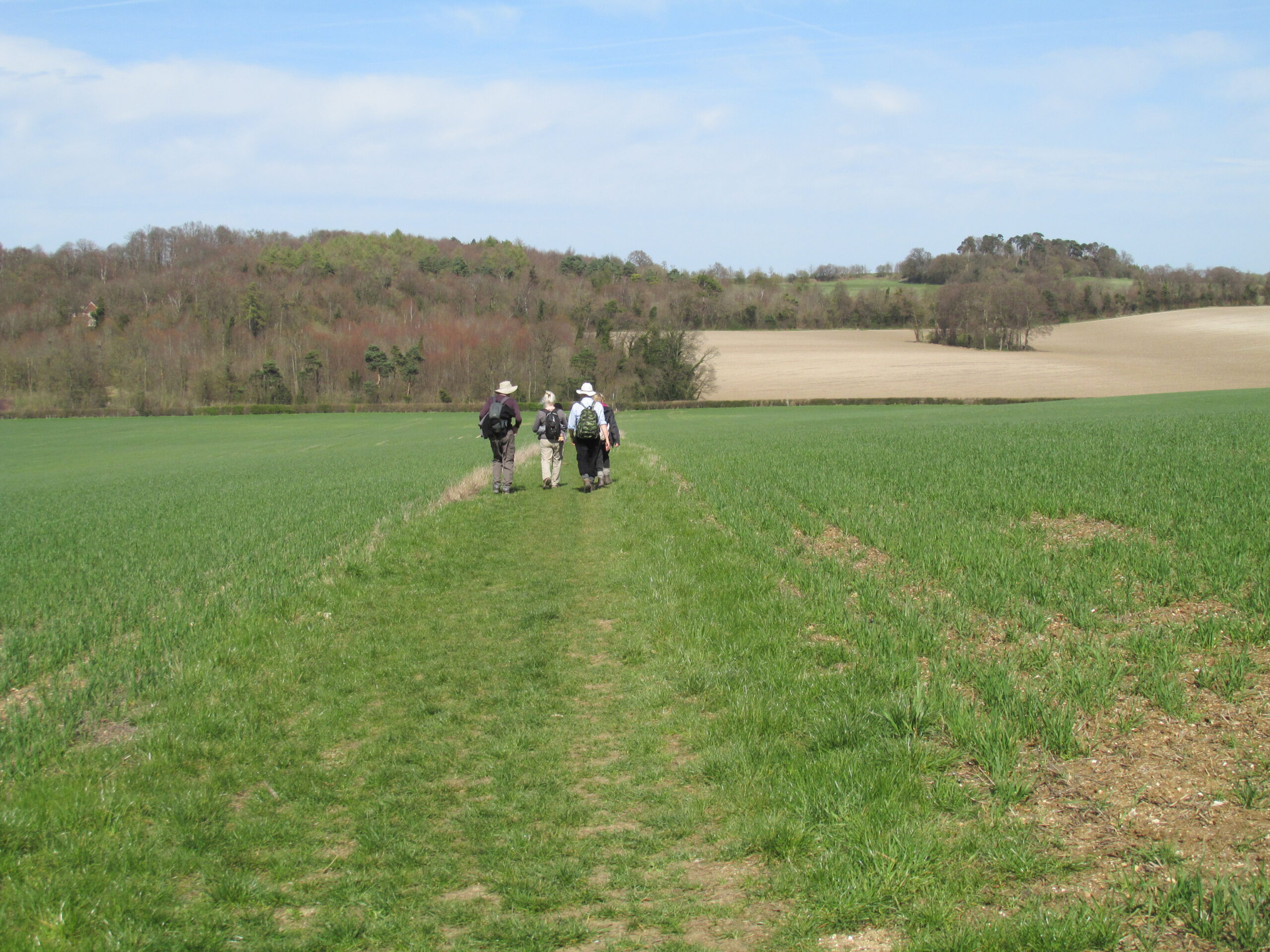 Great Stambridge Circular - Gay Outdoor Club