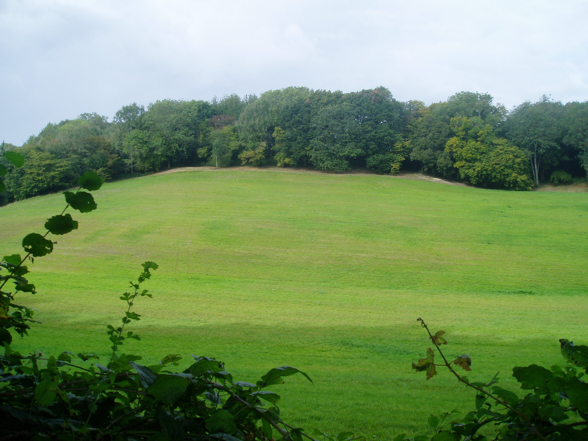 Pym Chair - Gay Outdoor Club