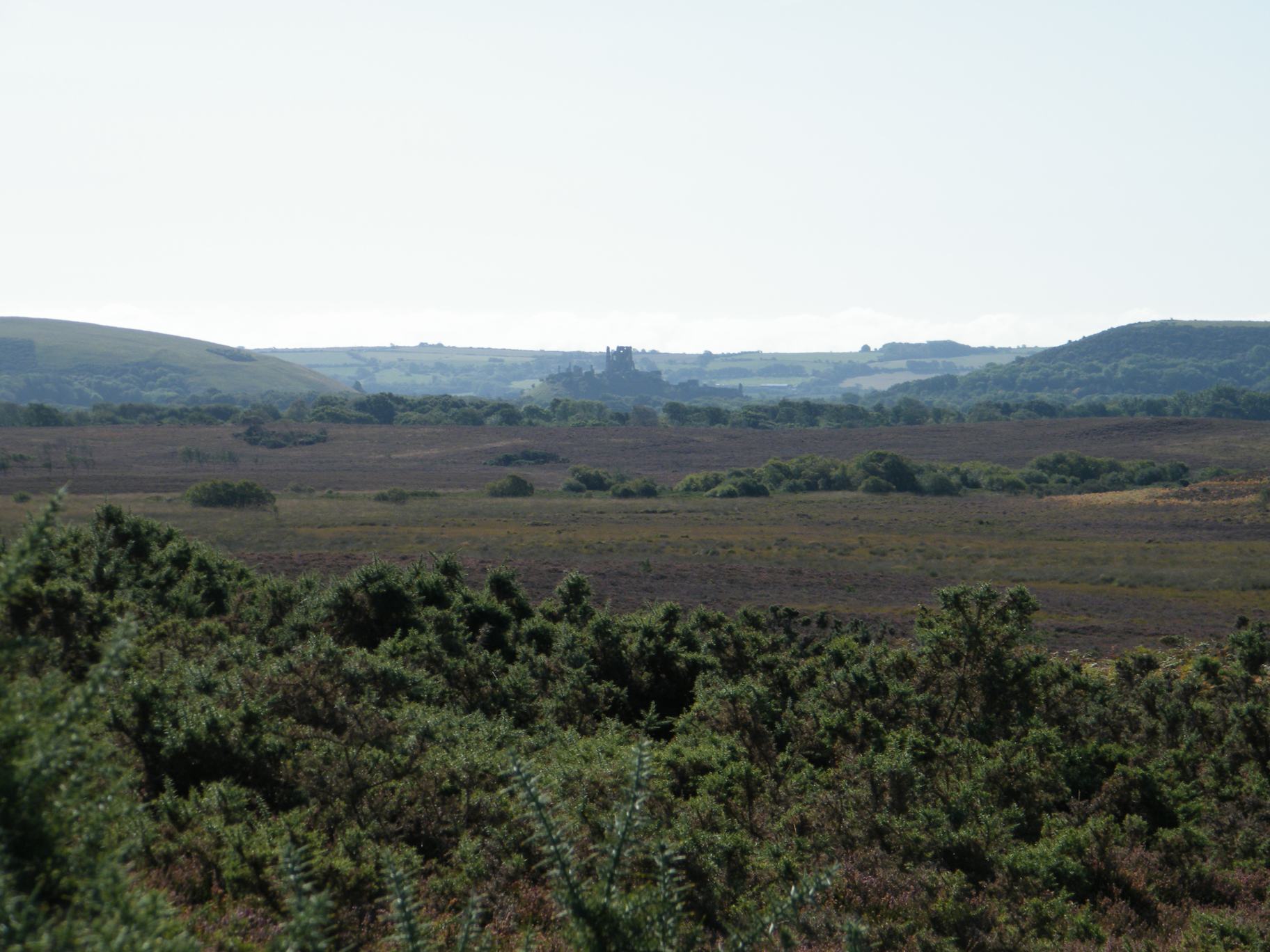 Rempstone's heath and forest - Gay Outdoor Club