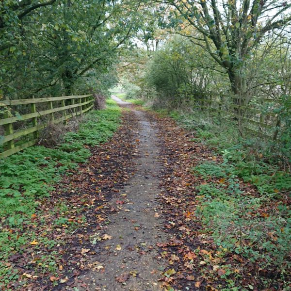 Collingtree (near Northampton) Circular Walk - Gay Outdoor Club