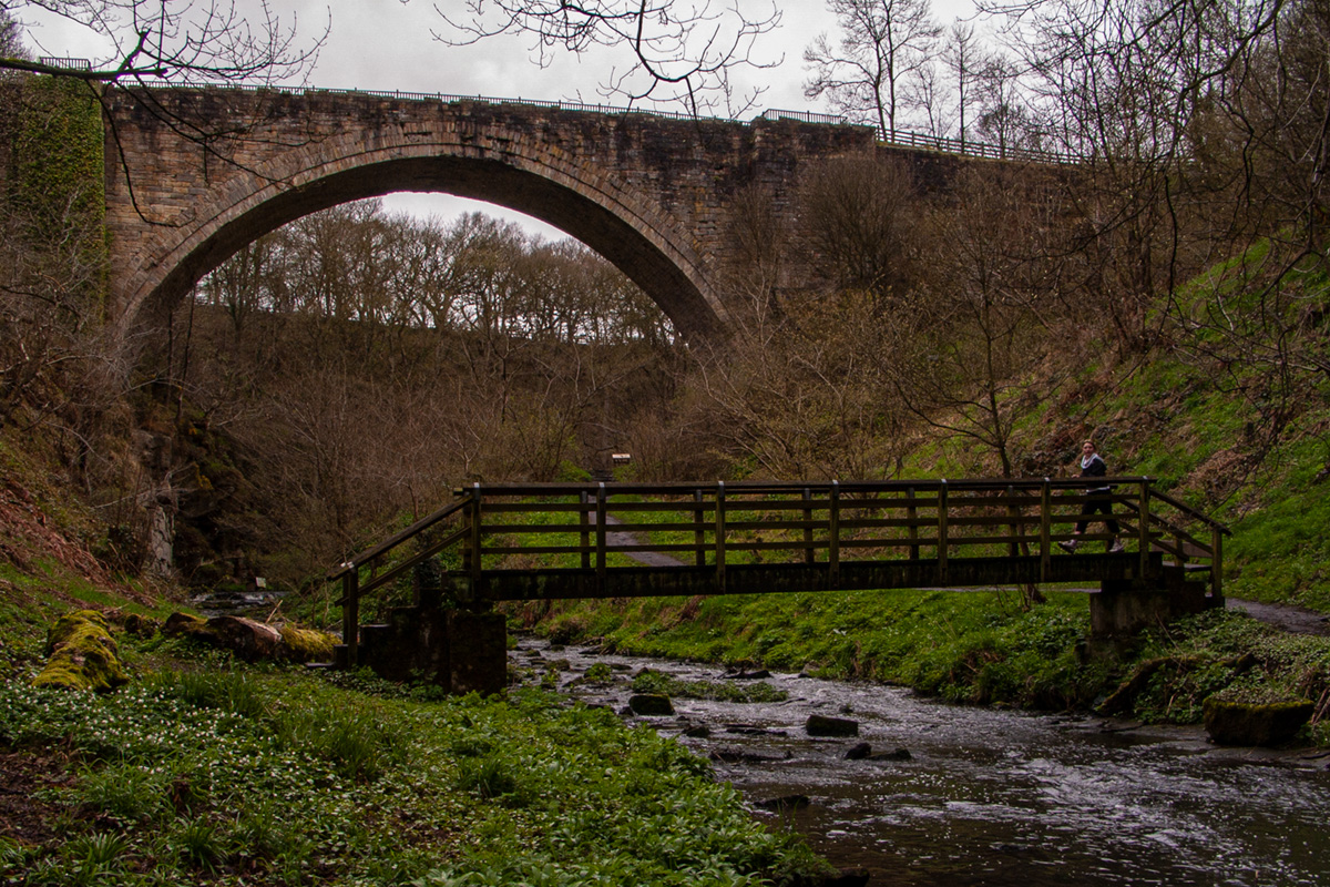 Beamish to Tanfield Railway and Causey Arch - Gay Outdoor Club