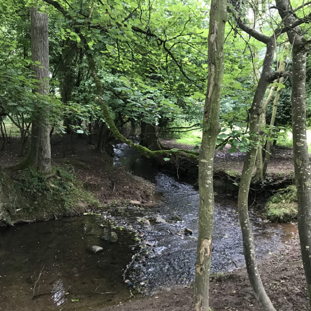 Dinas Powys to Caerau Hill Fort circular - Gay Outdoor Club