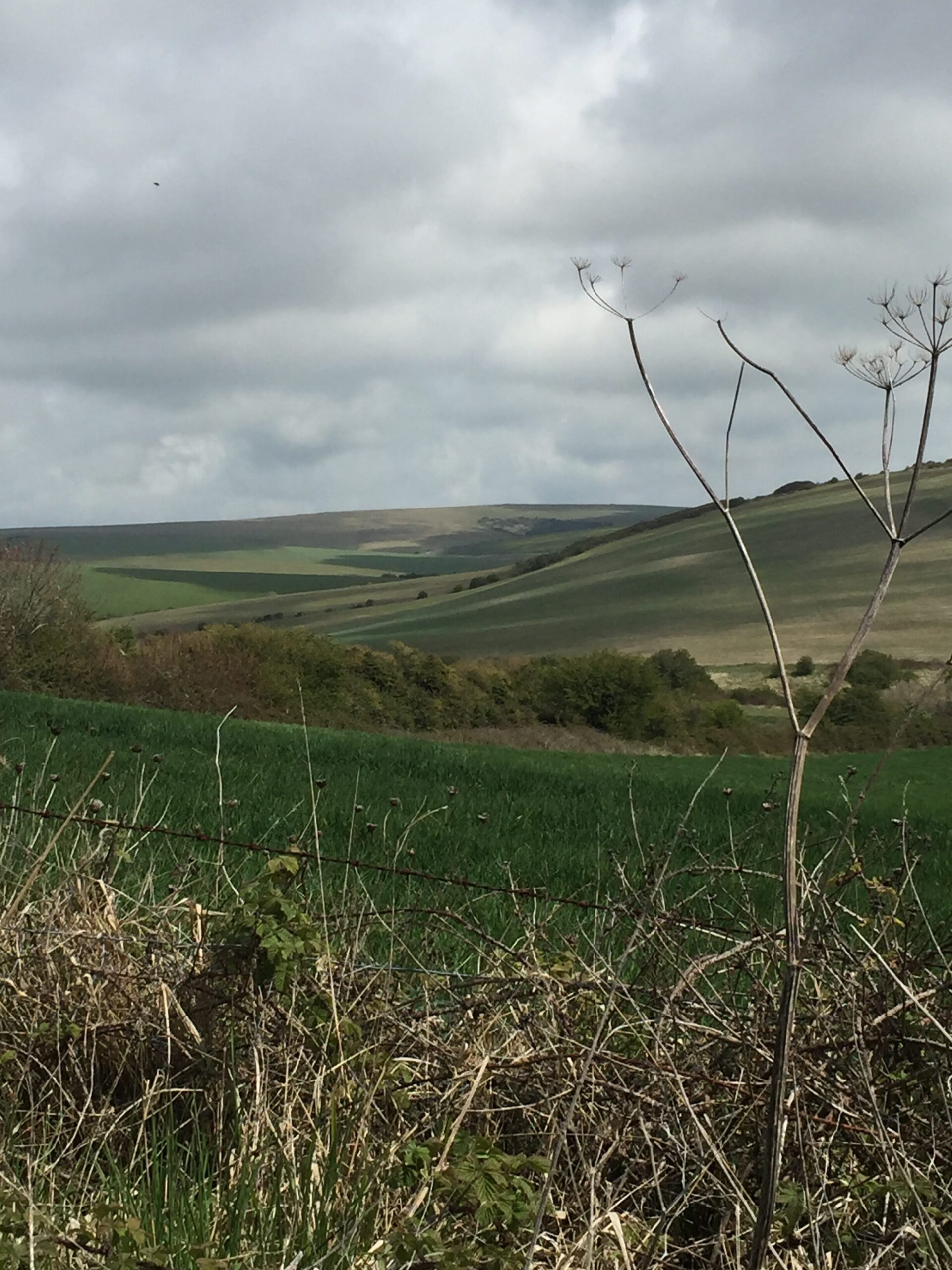 Poverty Bottom, Heighton Hill and Bishopstone, Newhaven - Gay Outdoor Club