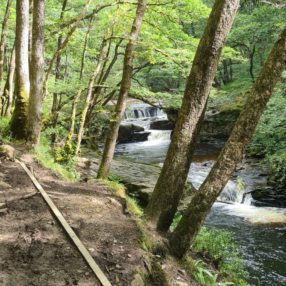 Waterfalls & Autumn Colour - Neath Valley - Gay Outdoor Club