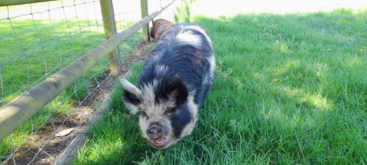 Sunshine all the way around Chippy - Gay Outdoor Club