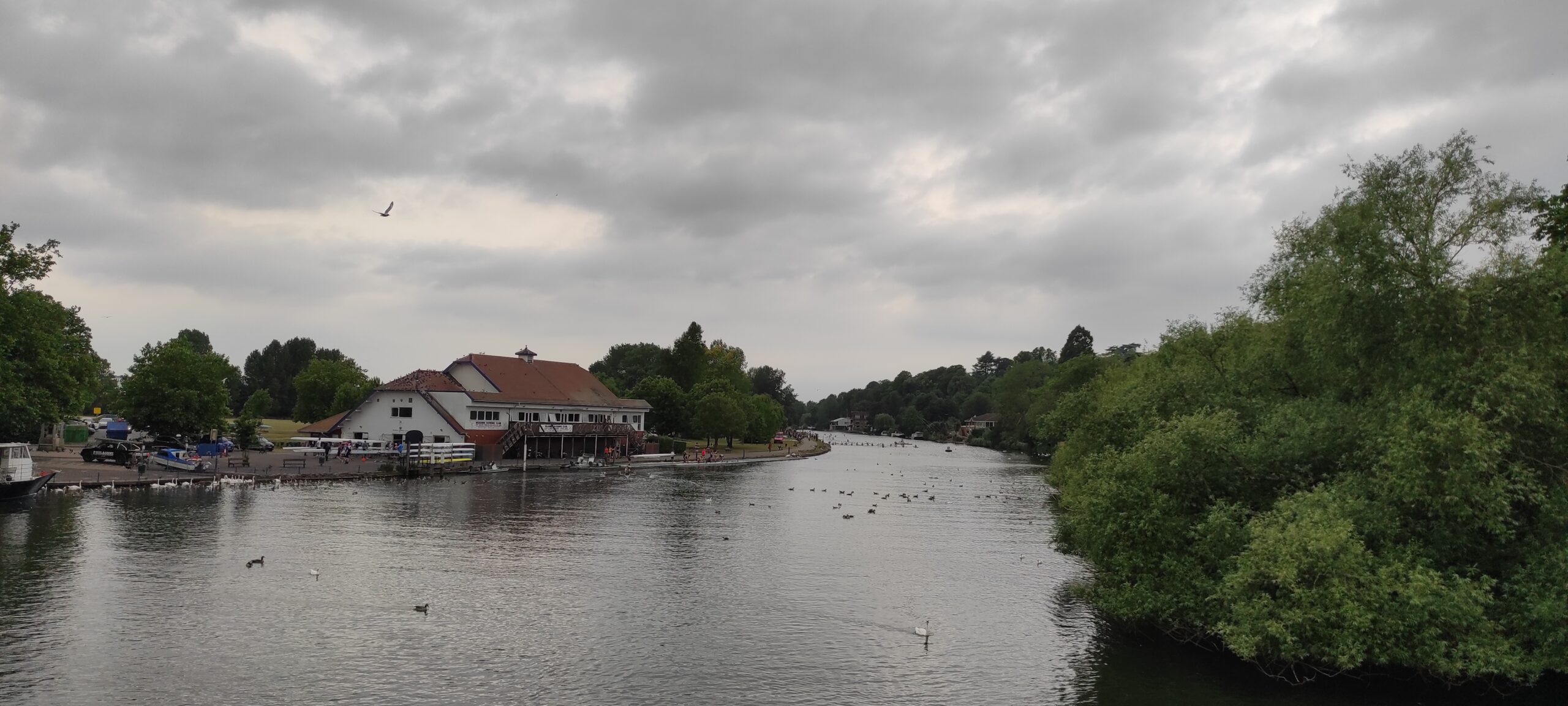 Caversham: gentle riverside walk with tea afterwards. - Gay Outdoor Club