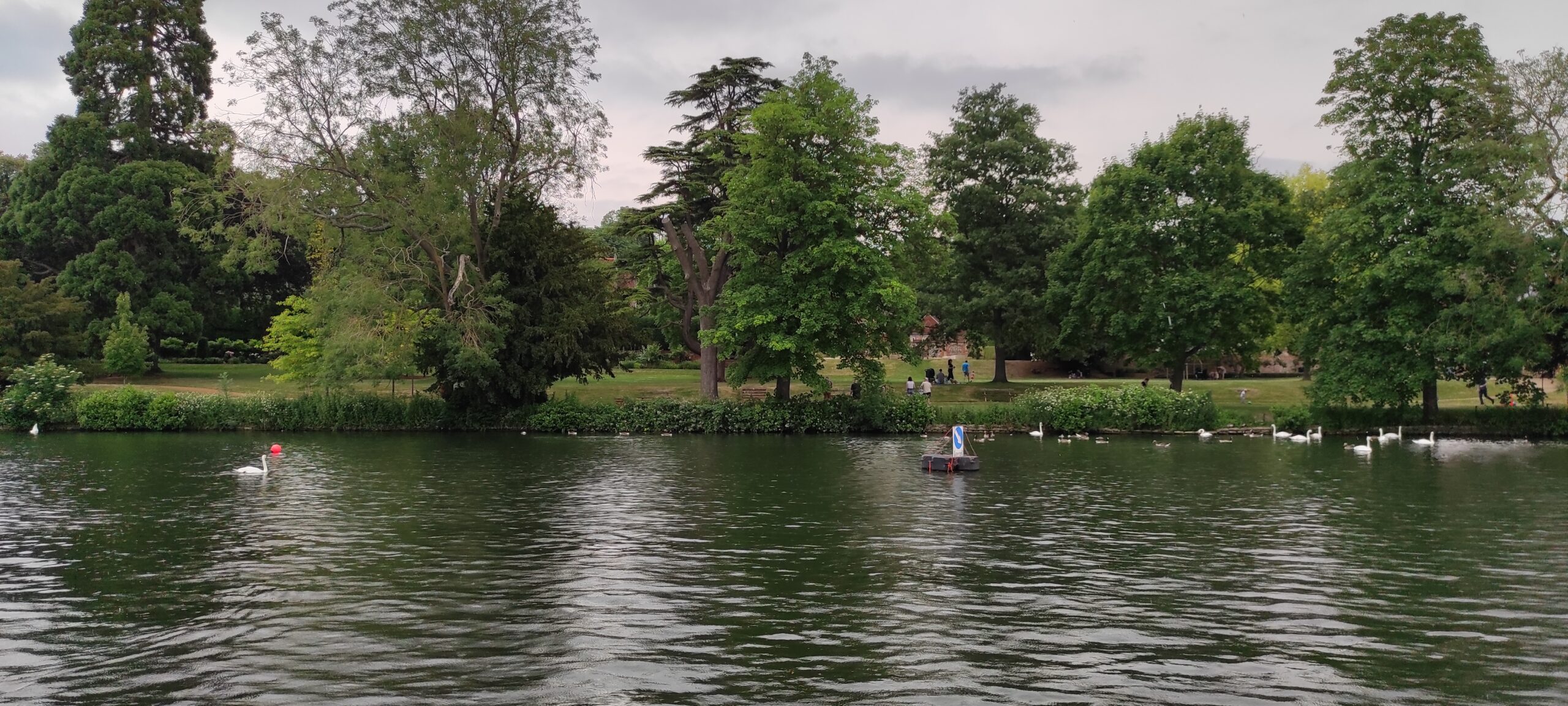 Caversham: gentle riverside walk with tea afterwards. - Gay Outdoor Club