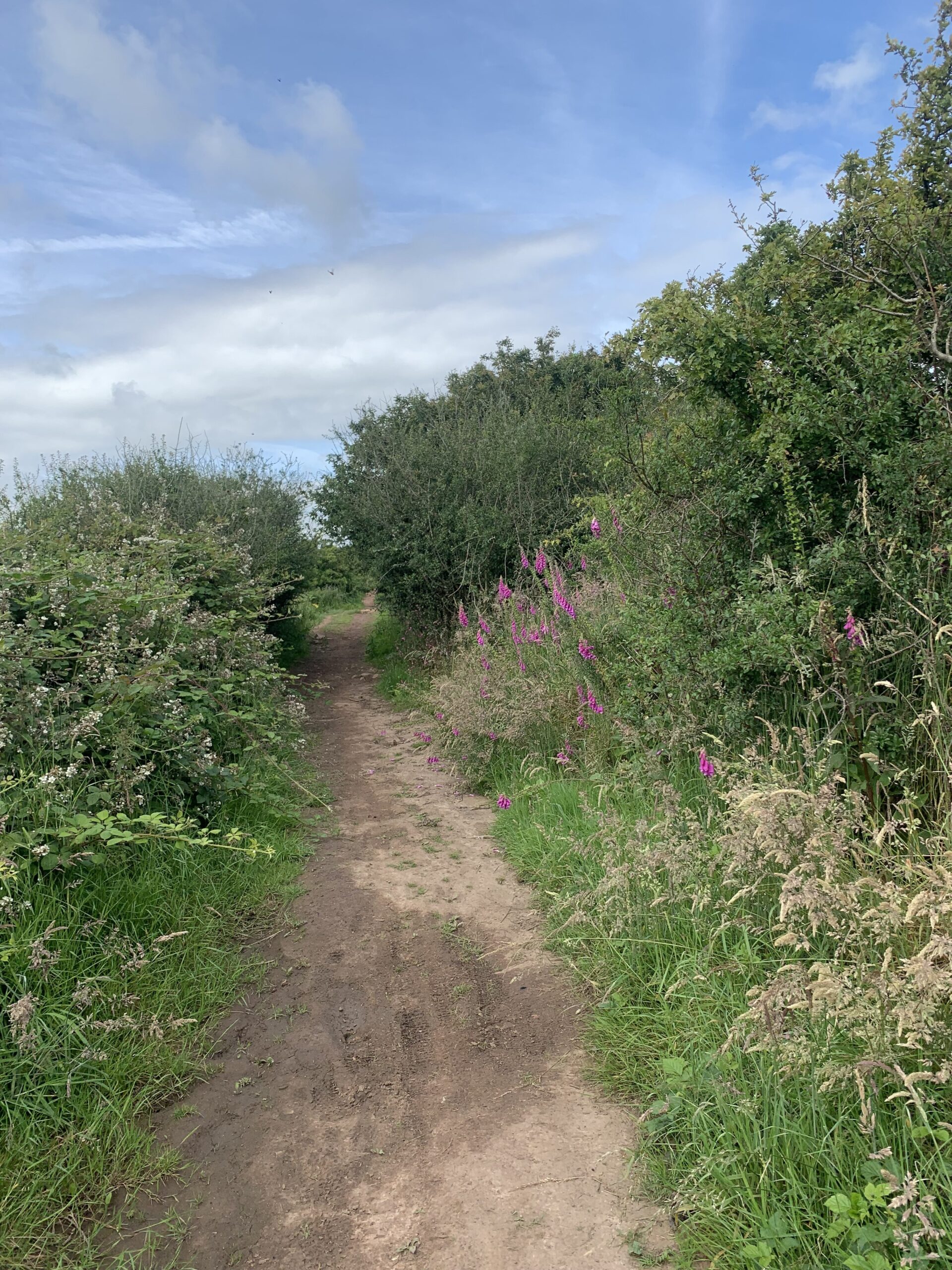 Mendip Panorama: Beacon Batch Walk - Gay Outdoor Club