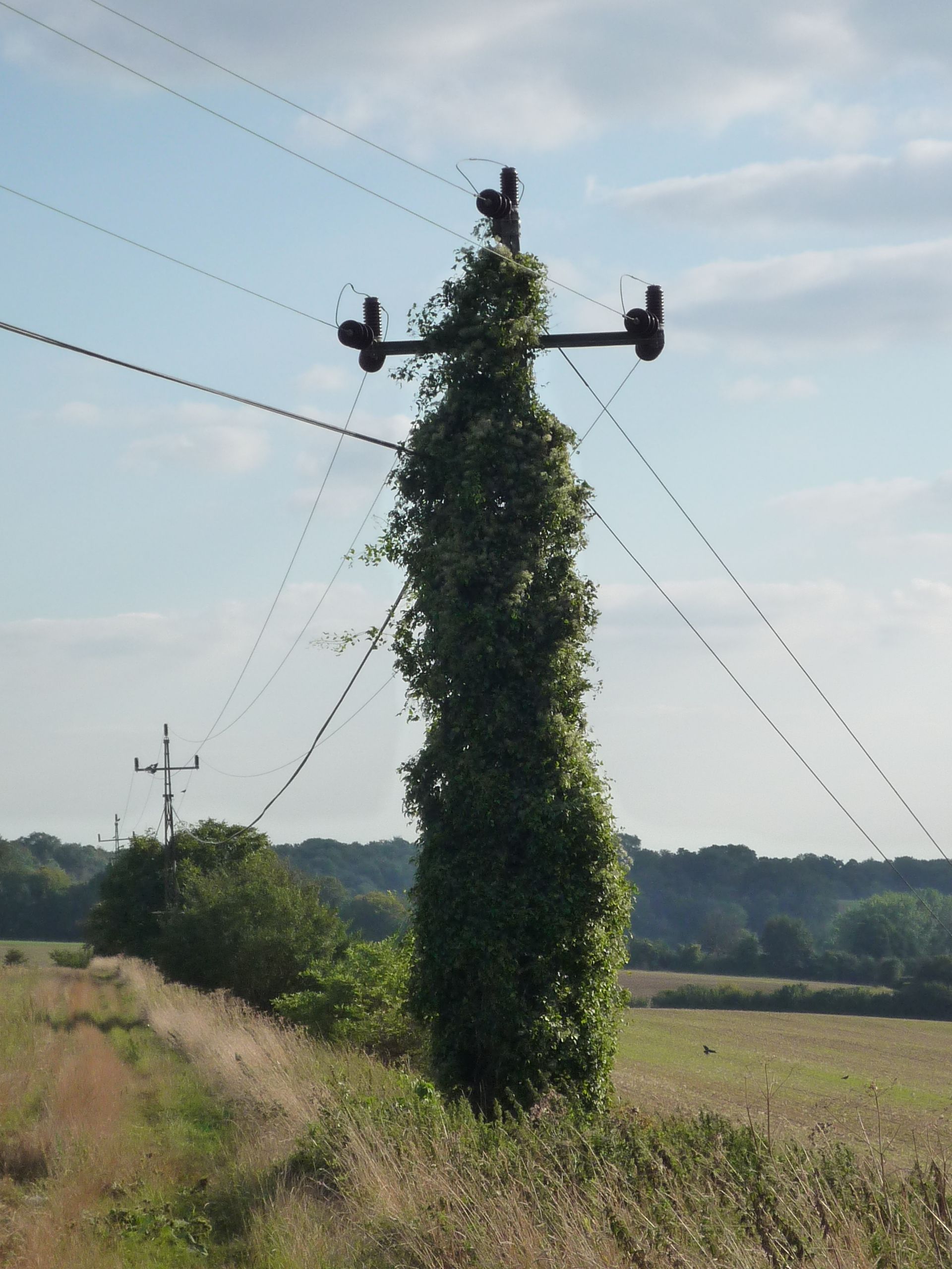 10 Sep 2022: Dane End - Gay Outdoor Club