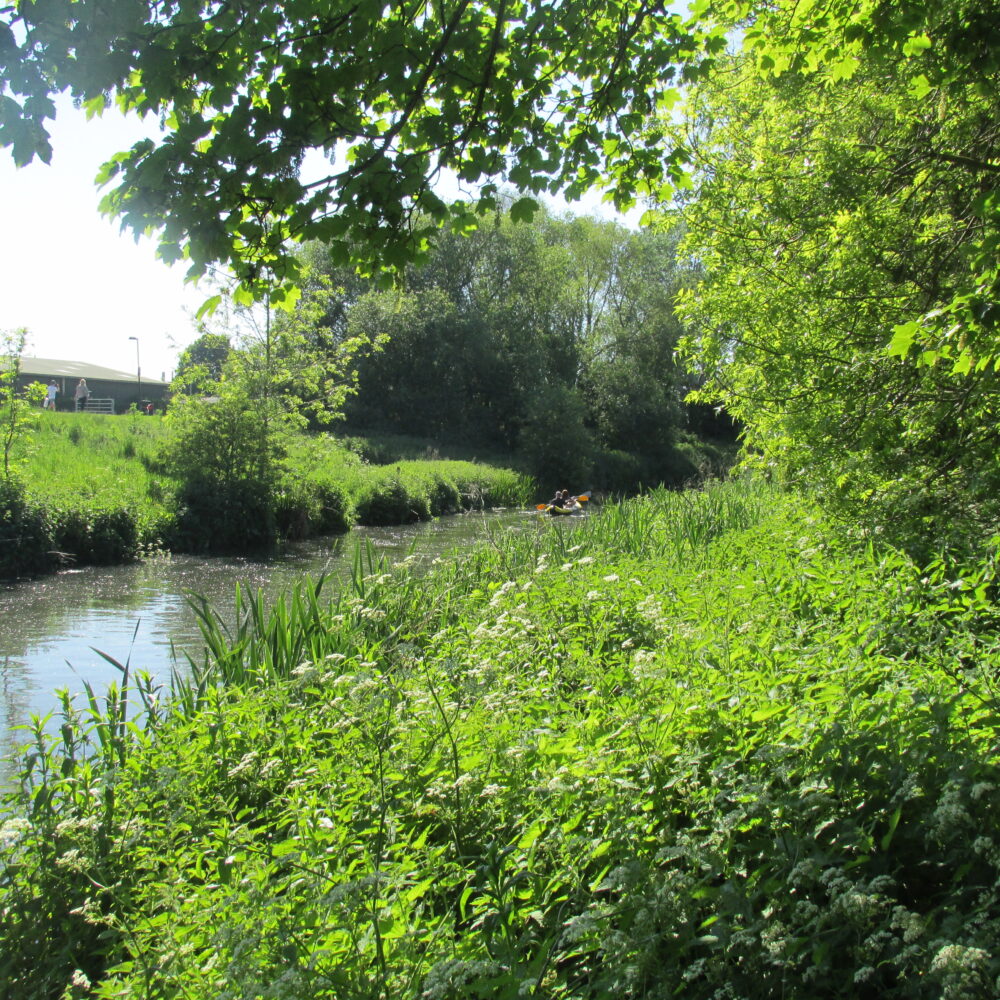 Galleywood Common - Gay Outdoor Club