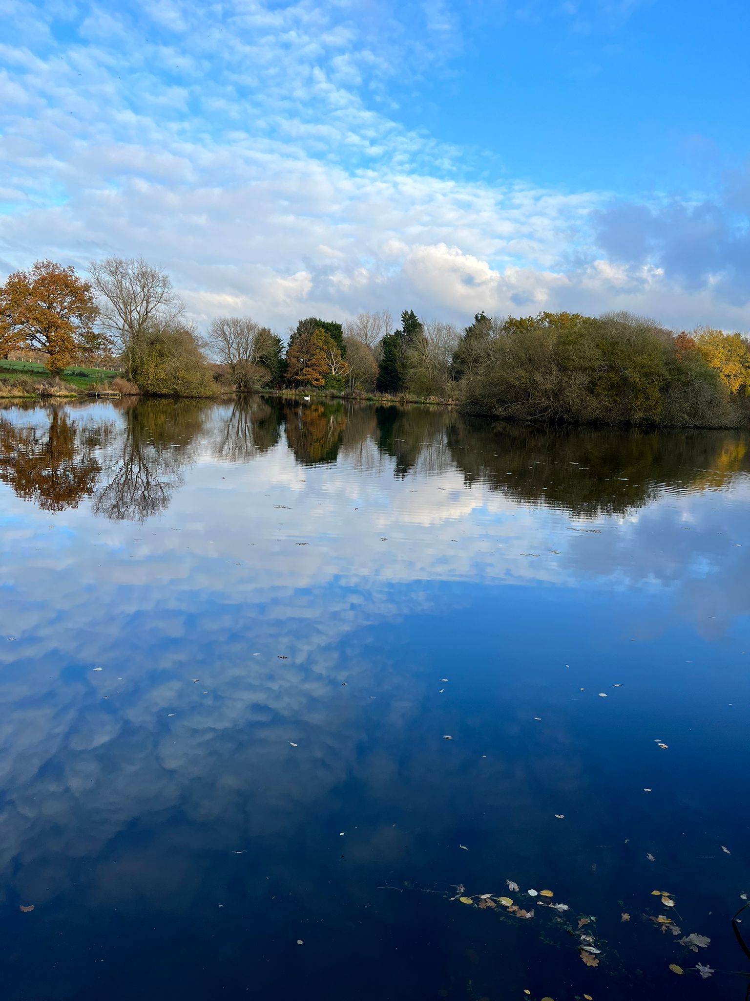 Bookham and Effingham common - Gay Outdoor Club