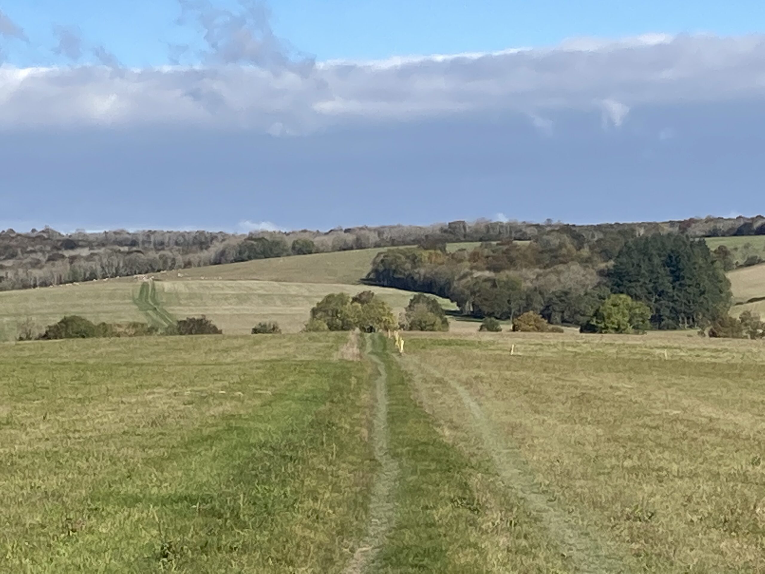 Slindon and annual Sussex lunch - Gay Outdoor Club