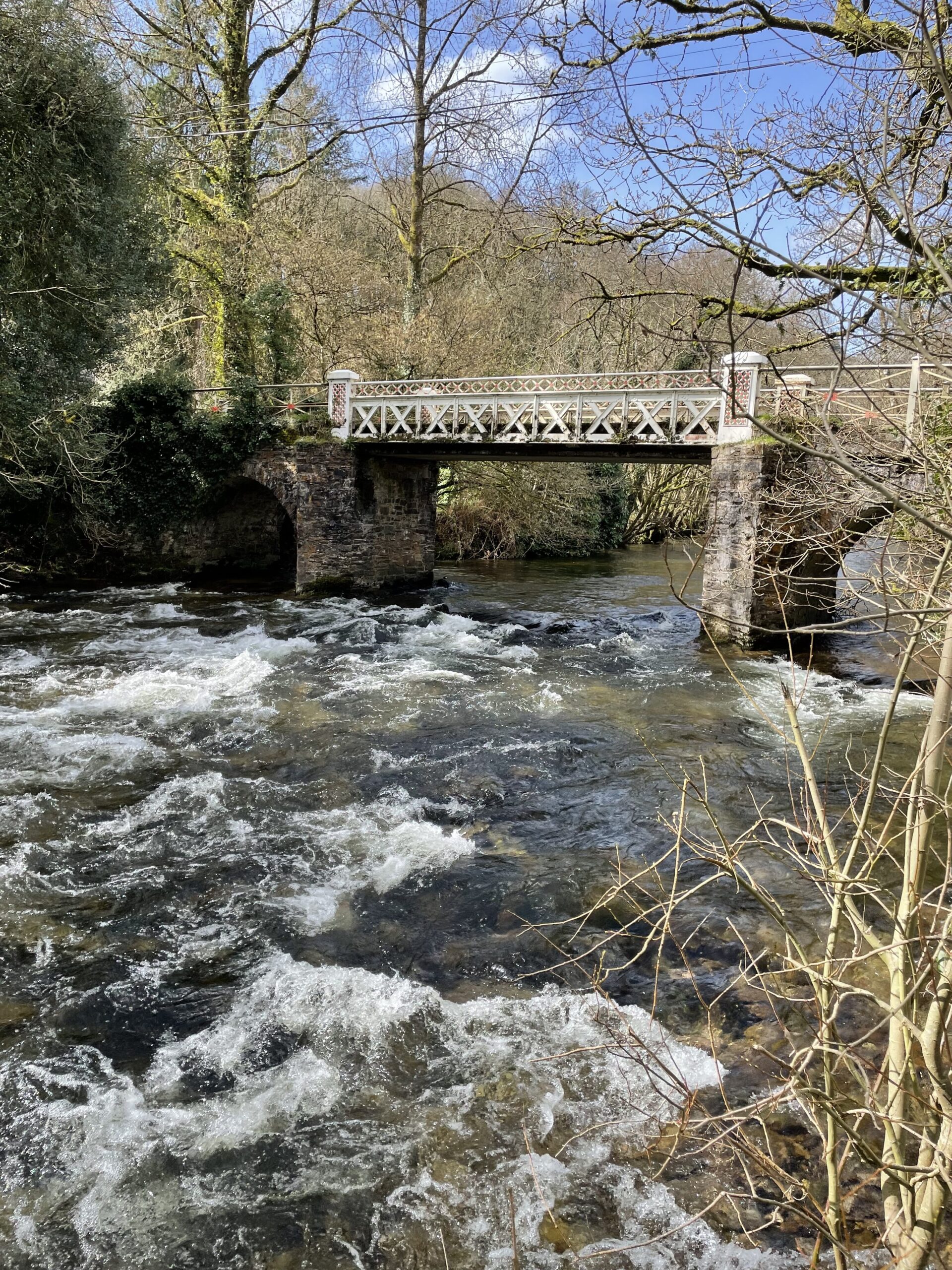 Exmoor National Park Walk - Dulverton - Gay Outdoor Club