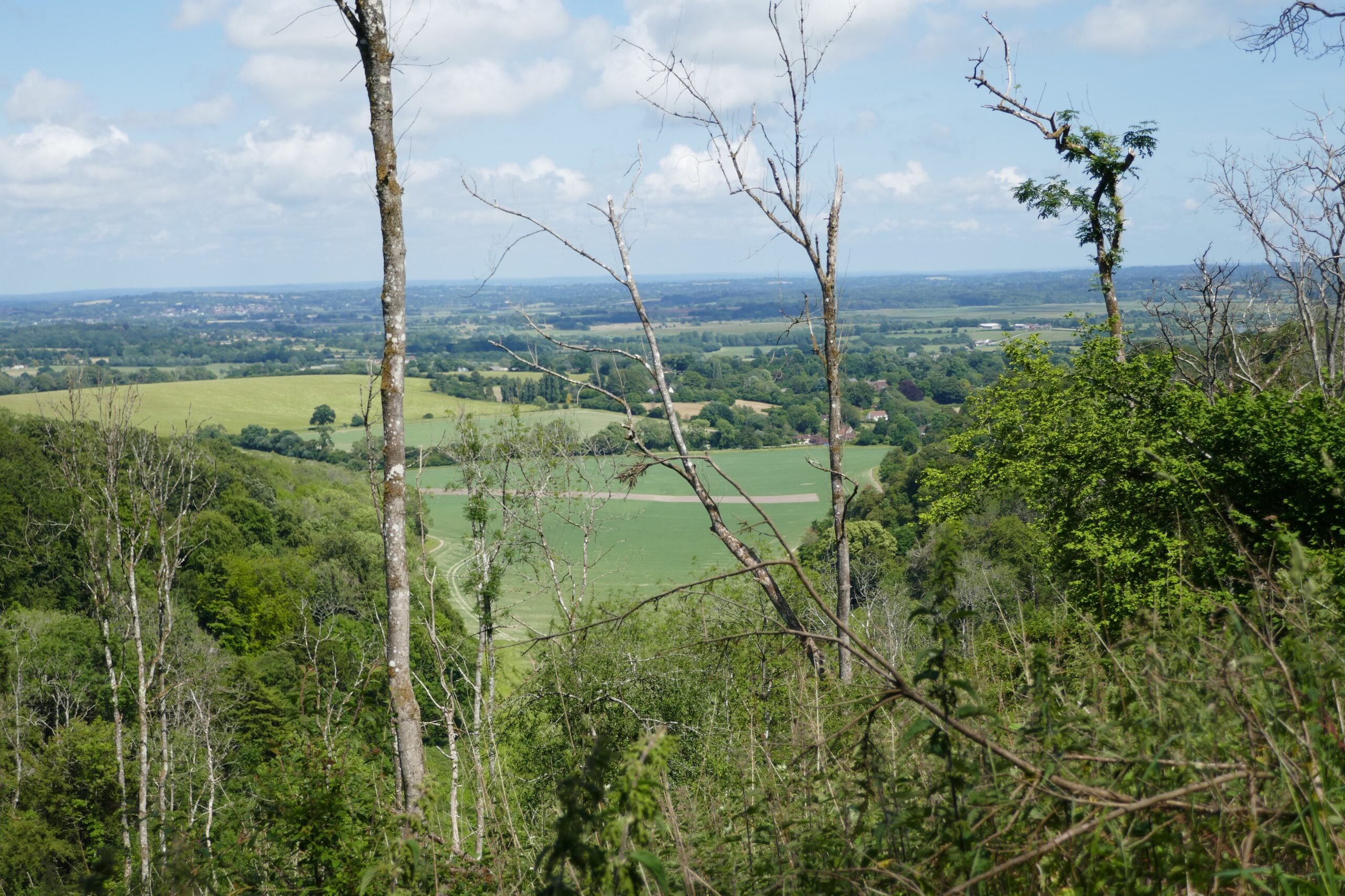 Bignor Hill Walk And Summer Picnic - Gay Outdoor Club