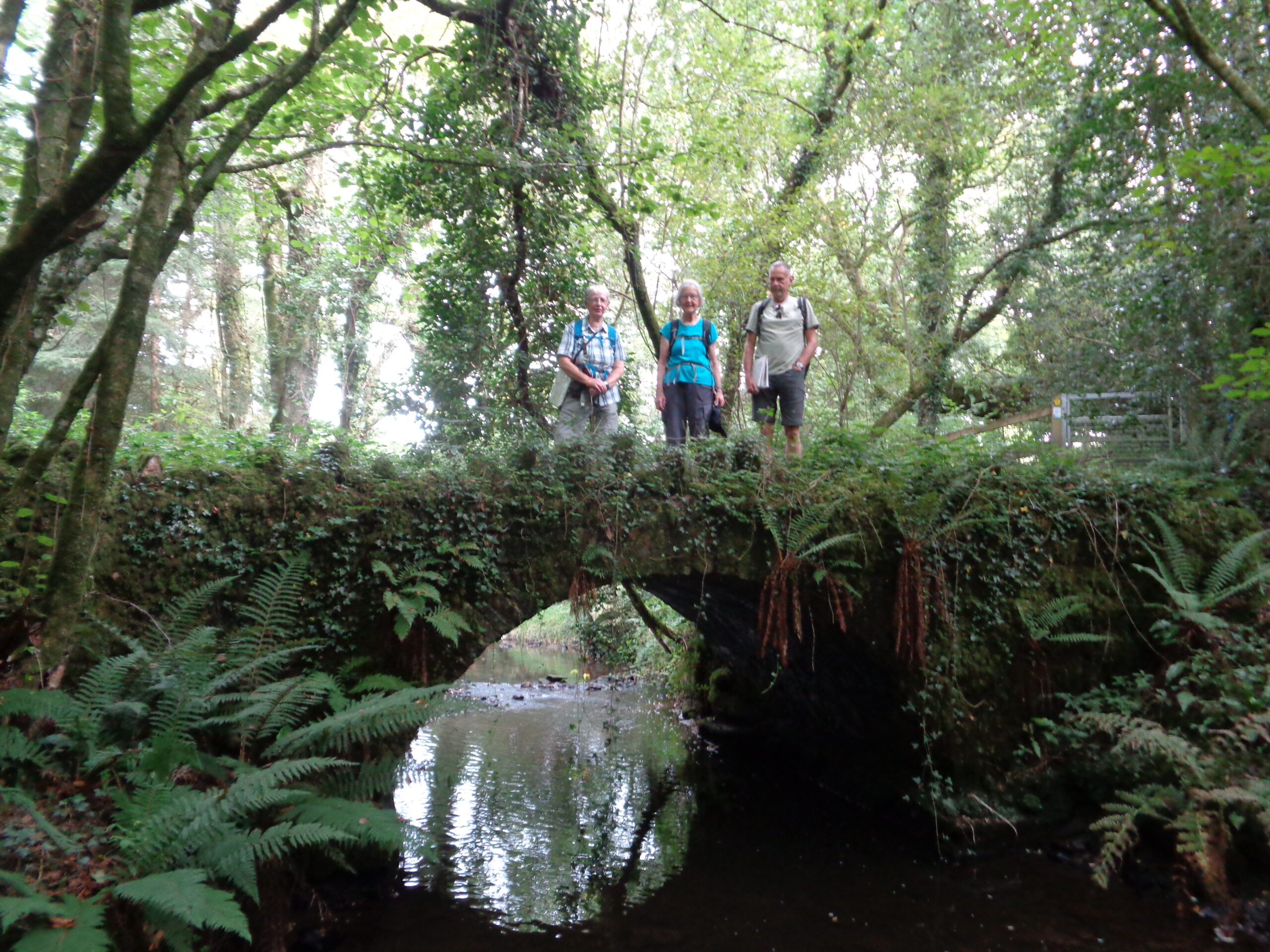 Landsker Borderlands trail - leg 7 (final leg) north of Garron pill ...