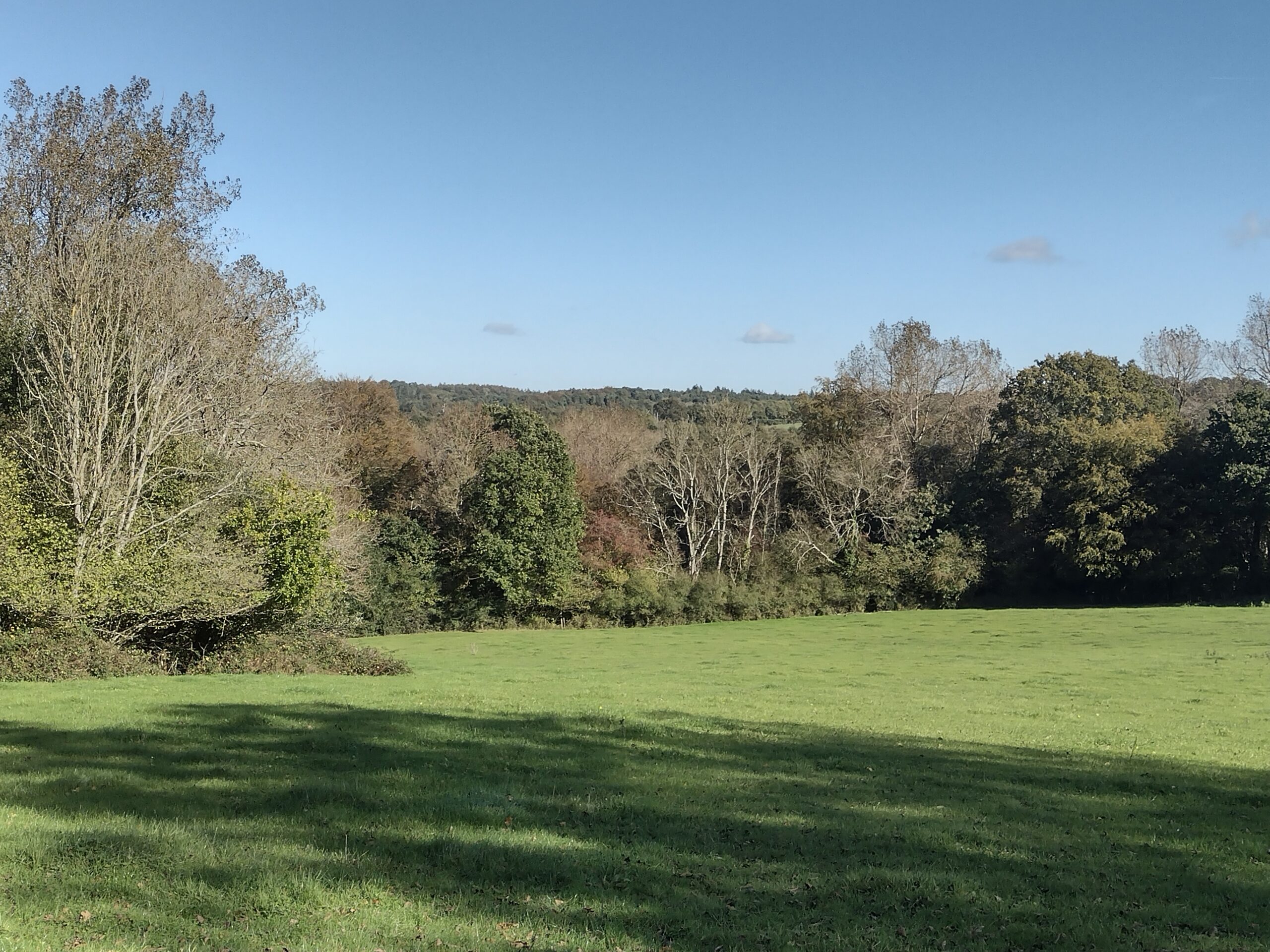 CANCELLED: Autumn Visit to Royal Botanical Gardens, Wakehurst, Sussex ...