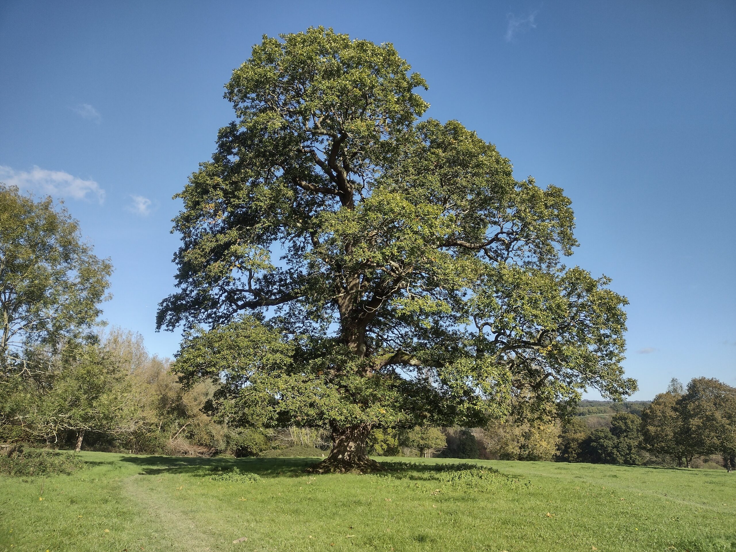 CANCELLED: Autumn Visit to Royal Botanical Gardens, Wakehurst, Sussex ...