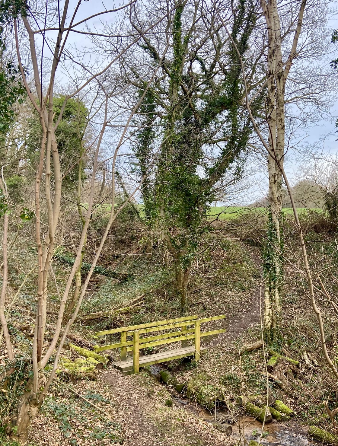 Goostrey walk - Gay Outdoor Club