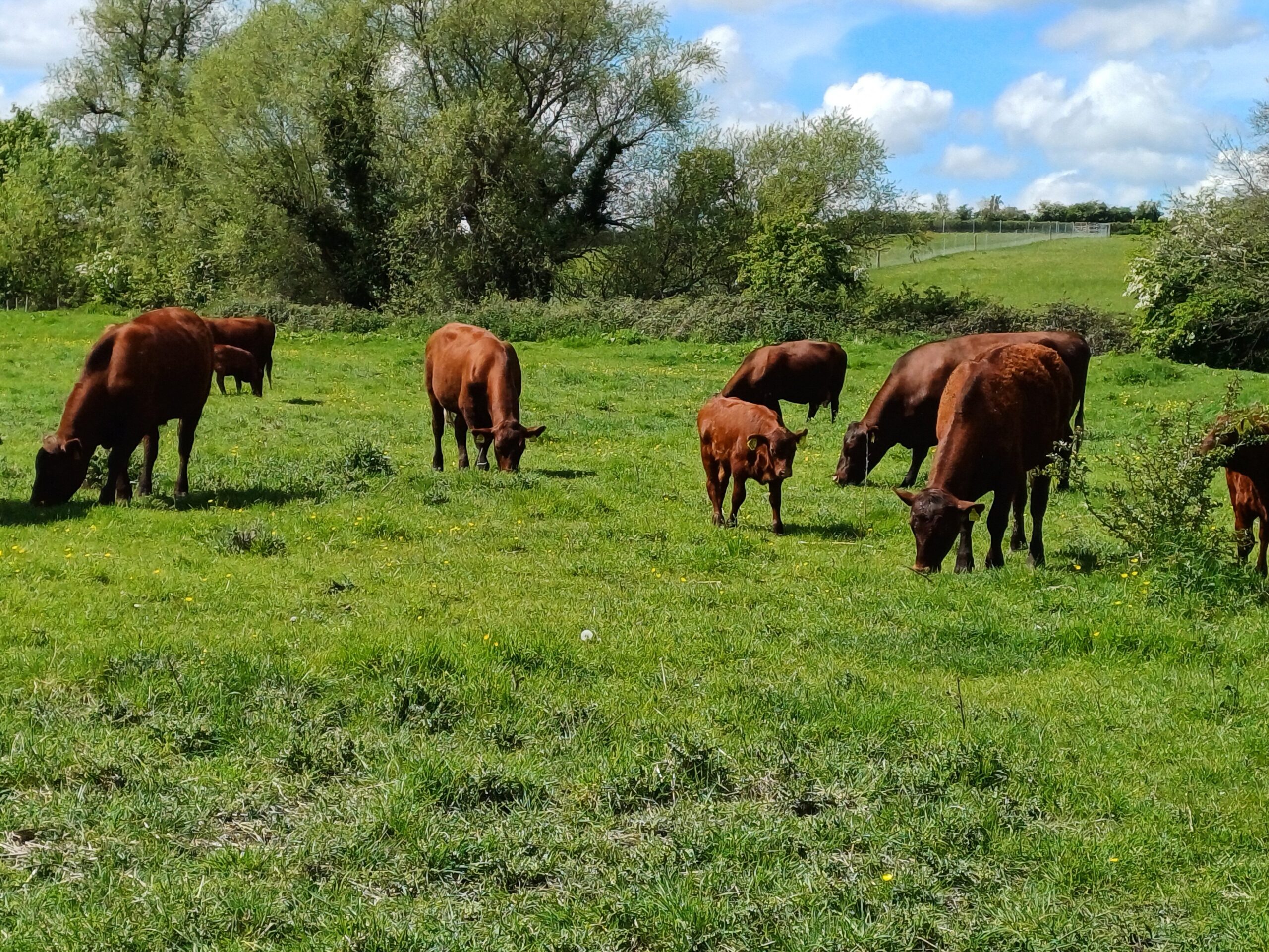 Wrest Park, Silsoe and surrounding villages - Gay Outdoor Club