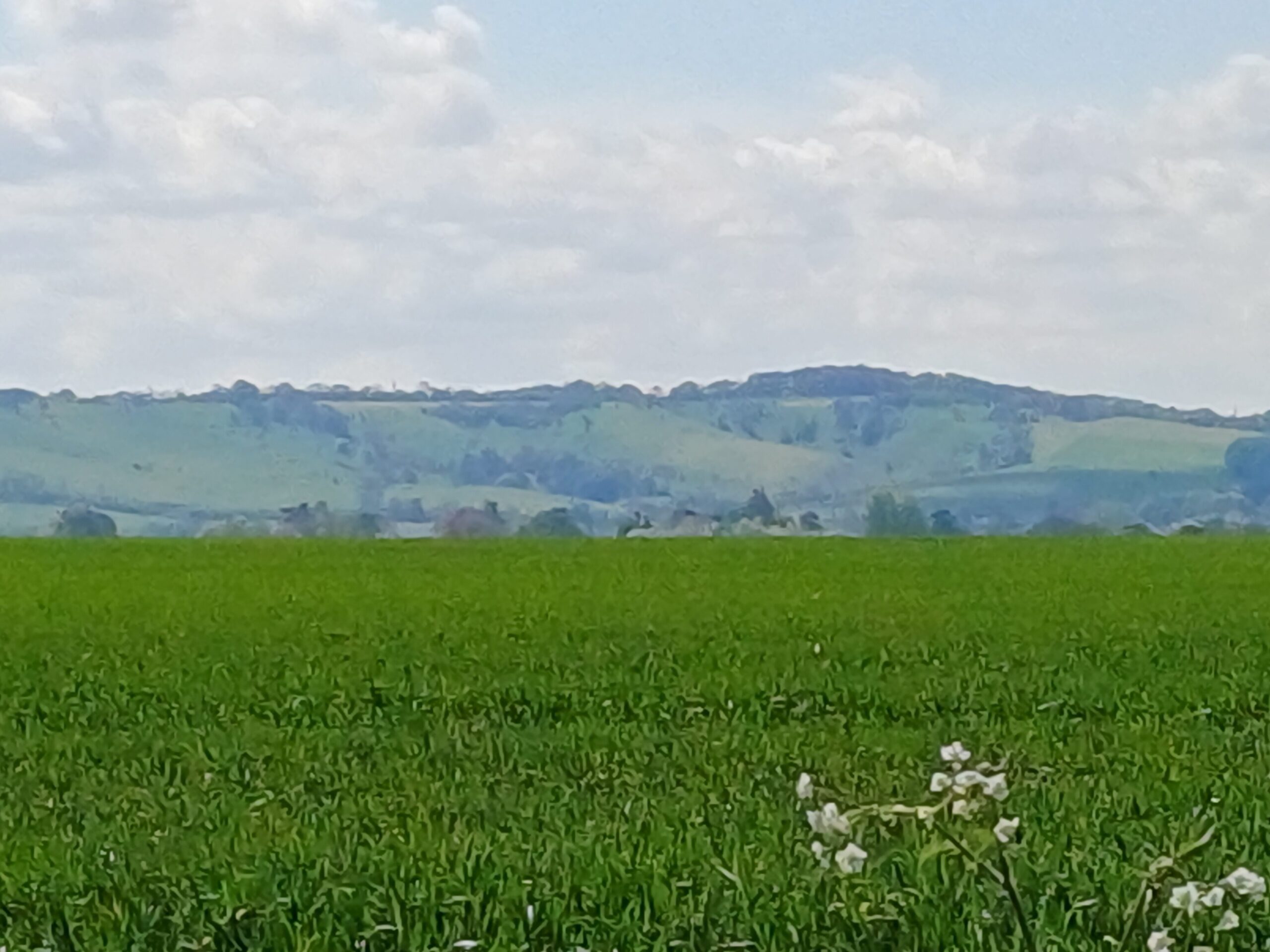 Wrest Park, Silsoe and surrounding villages - Gay Outdoor Club