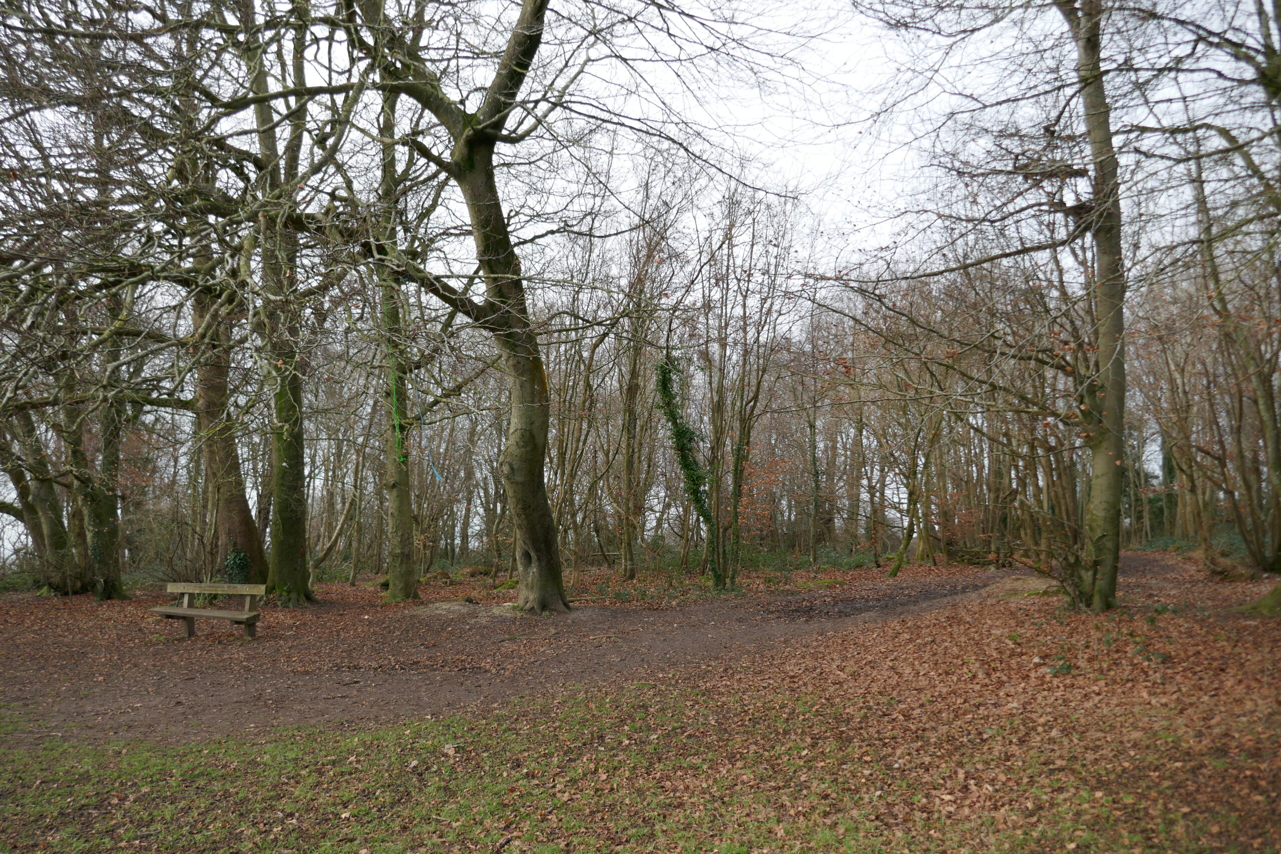 Lancing Ring Nature Reserve and Annual Pub Lunch - Gay Outdoor Club