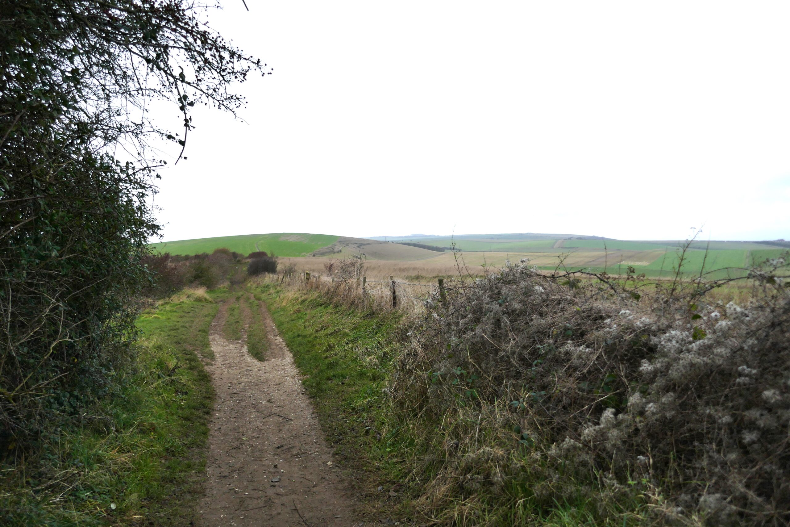 Lancing Ring Nature Reserve and Annual Pub Lunch - Gay Outdoor Club