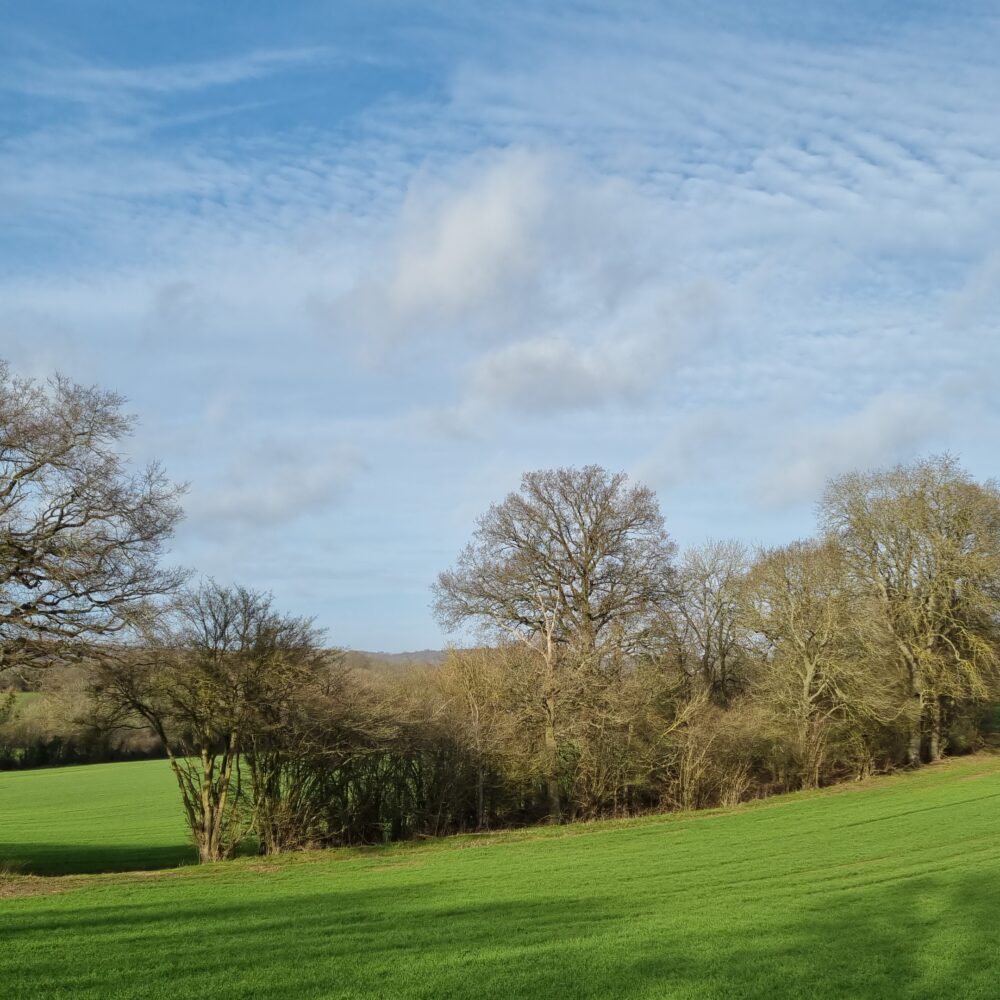 West Kent - Sevenoaks Weald walk - Gay Outdoor Club