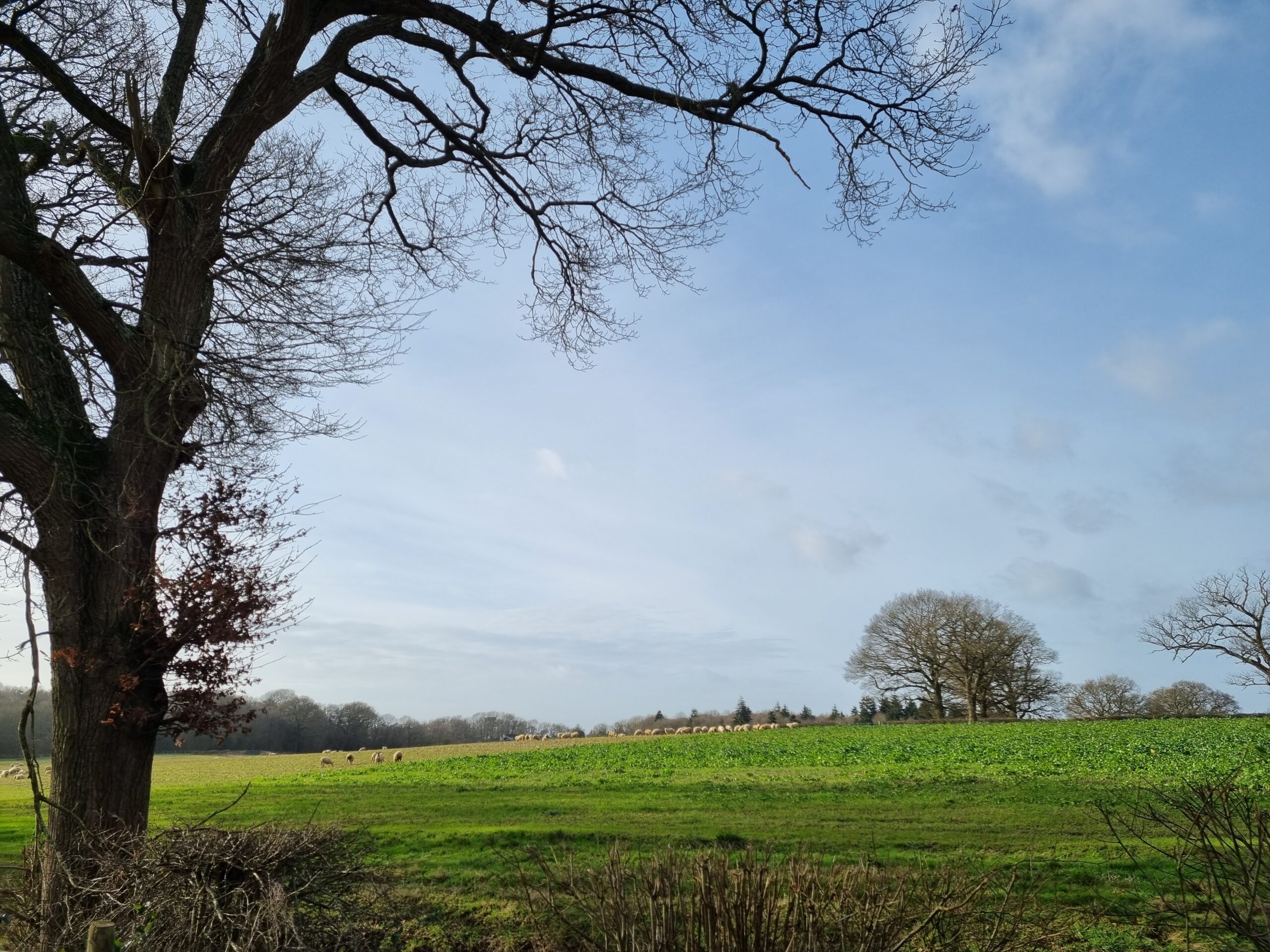 West Kent - Sevenoaks Weald walk - Gay Outdoor Club