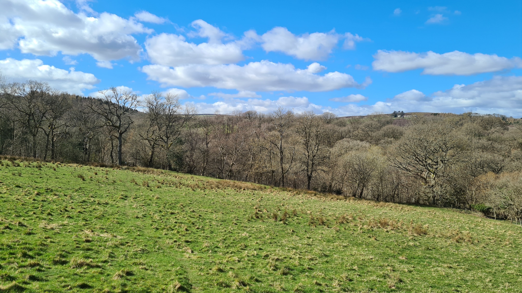 Allensford, The Derwent Gorge & Muggleswick Woods National Nature ...