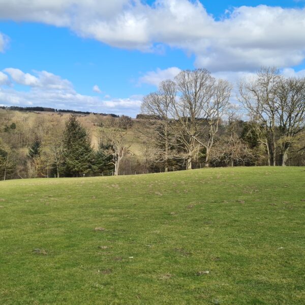 Allensford, The Derwent Gorge & Muggleswick Woods National Nature ...
