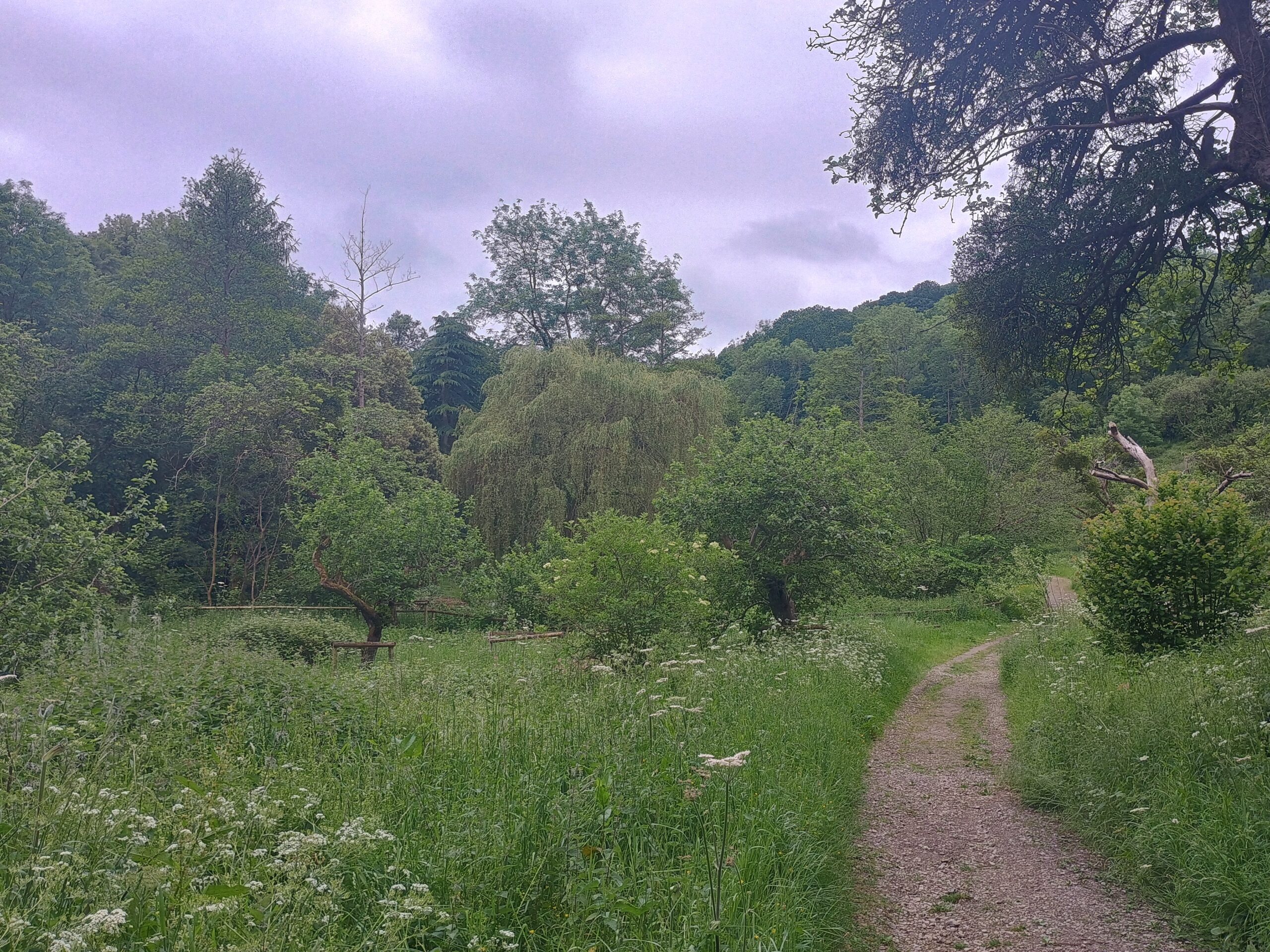 Three Nature Reserves, Two Ridges and a Village – A Walk in the Suckley ...