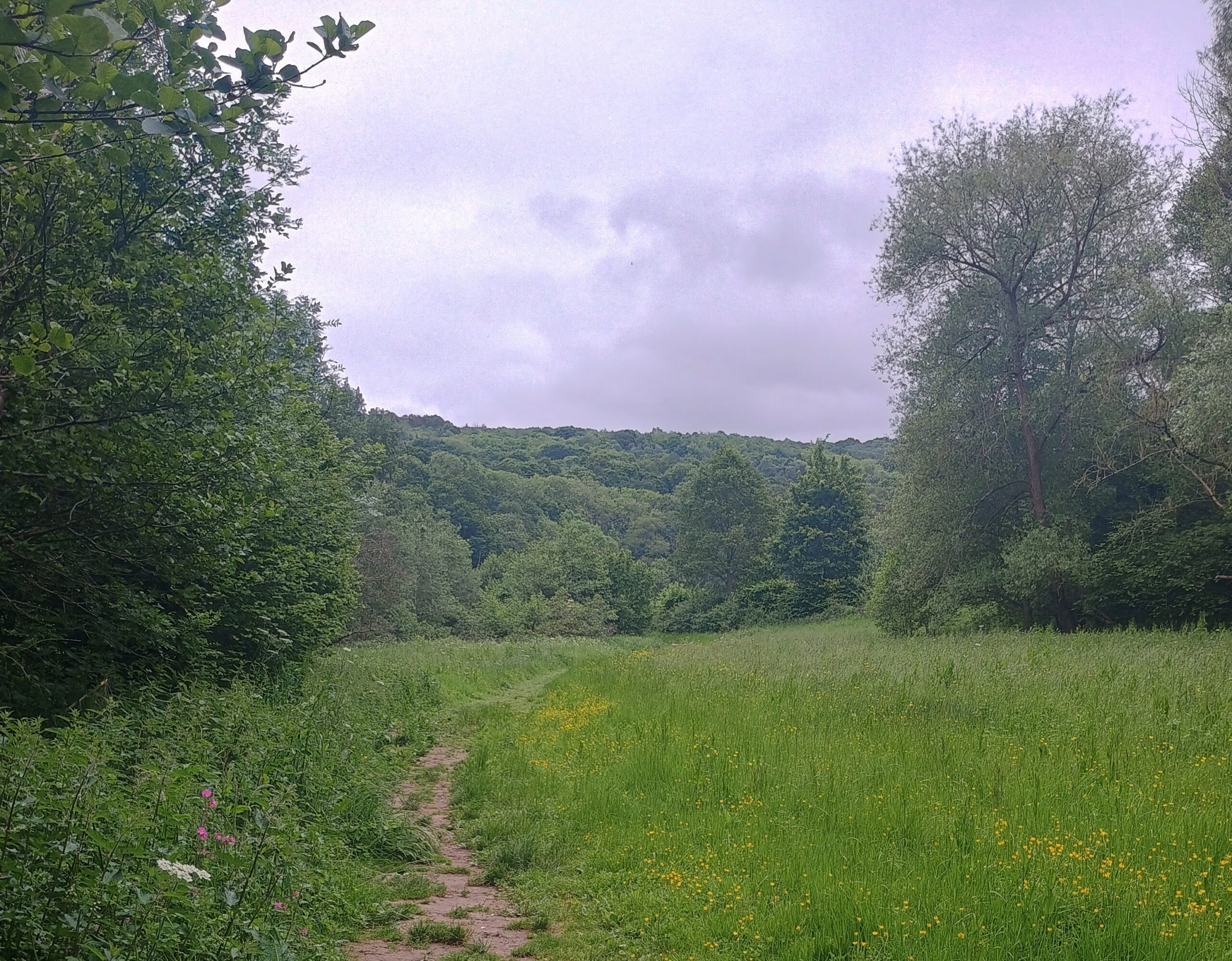 Three Nature Reserves, Two Ridges and a Village – A Walk in the Suckley ...