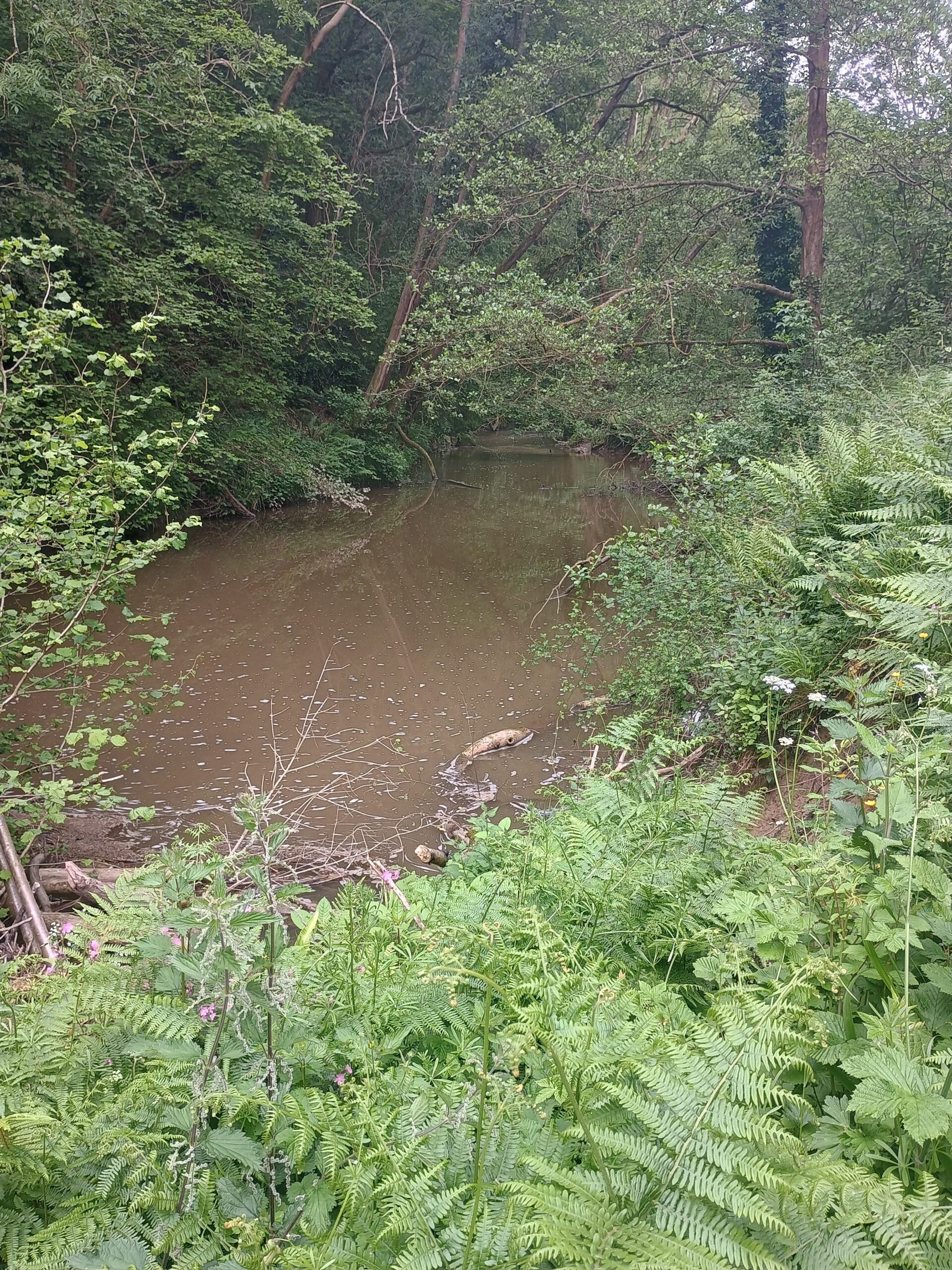 Three Nature Reserves, Two Ridges and a Village – A Walk in the Suckley ...