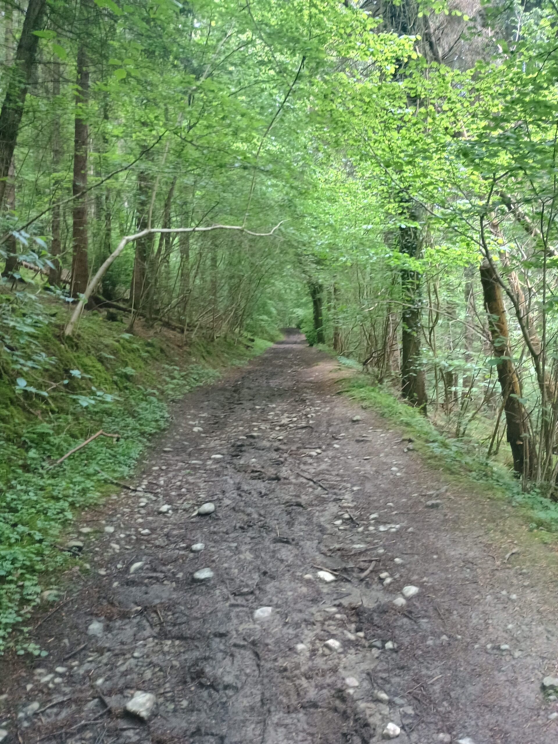 Three Nature Reserves, Two Ridges and a Village – A Walk in the Suckley ...