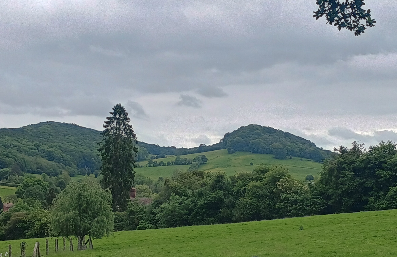 Three Nature Reserves, Two Ridges and a Village – A Walk in the Suckley ...
