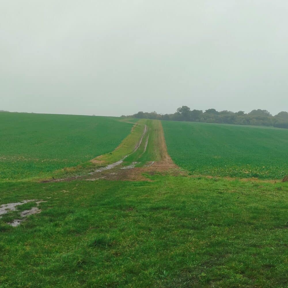 A circular walk starting in the village of Vernham Dean - Gay Outdoor Club