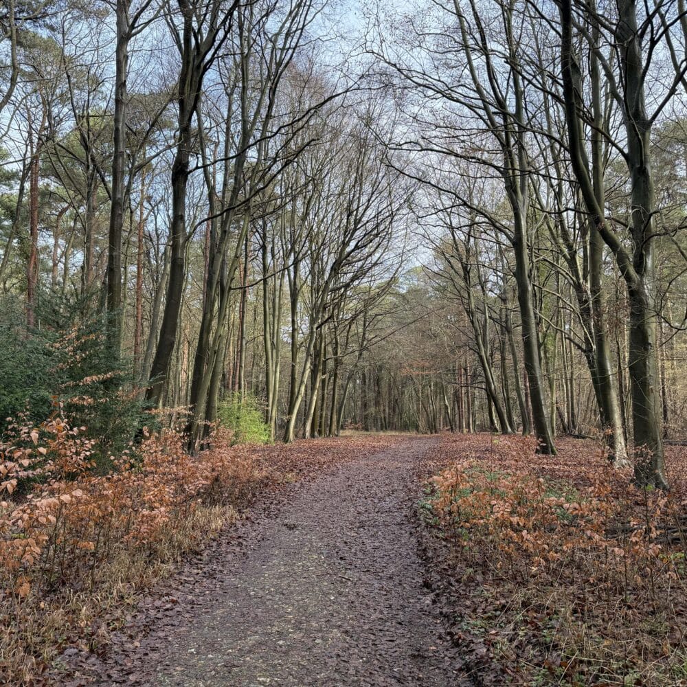 Bridgham and West Harling, Norfolk - Gay Outdoor Club